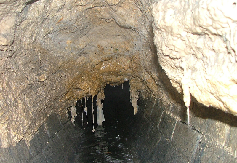 FOG important to keep kitchens moving this Christmas, says Lanes Group