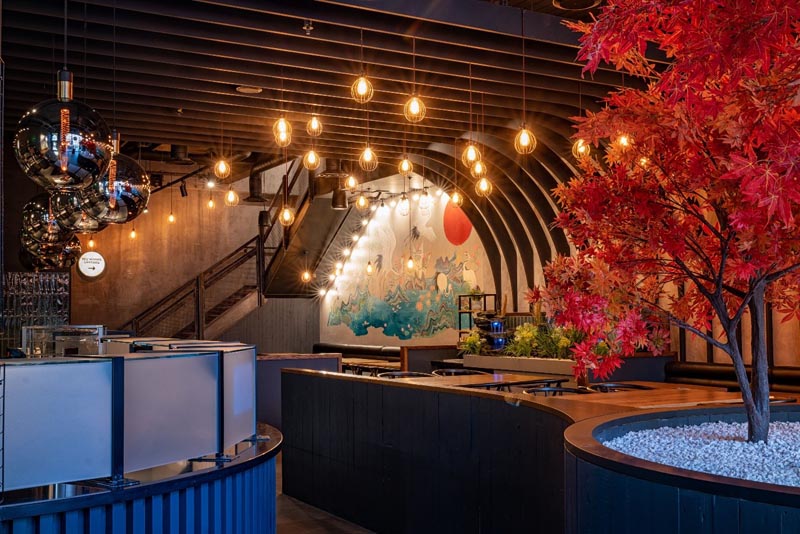 Grounded Kitchen to open 50 new UK stores in £15m expansion plan